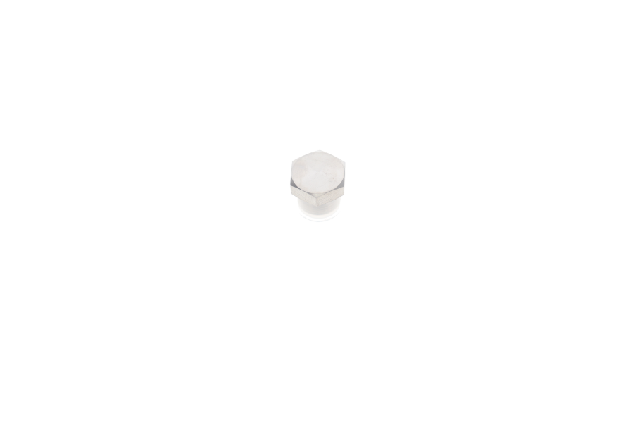 SP, GS, Pipe Plug 1/2in BSP SS — Condair Parts CA